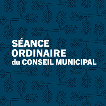 Séance ordinaire du conseil municipal - Mercredi le 15 janvier 2024 à 19 h